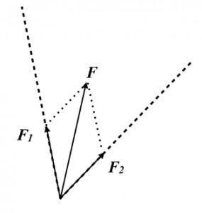 Werken met vectoren | SCHAATSTECHNIEK
